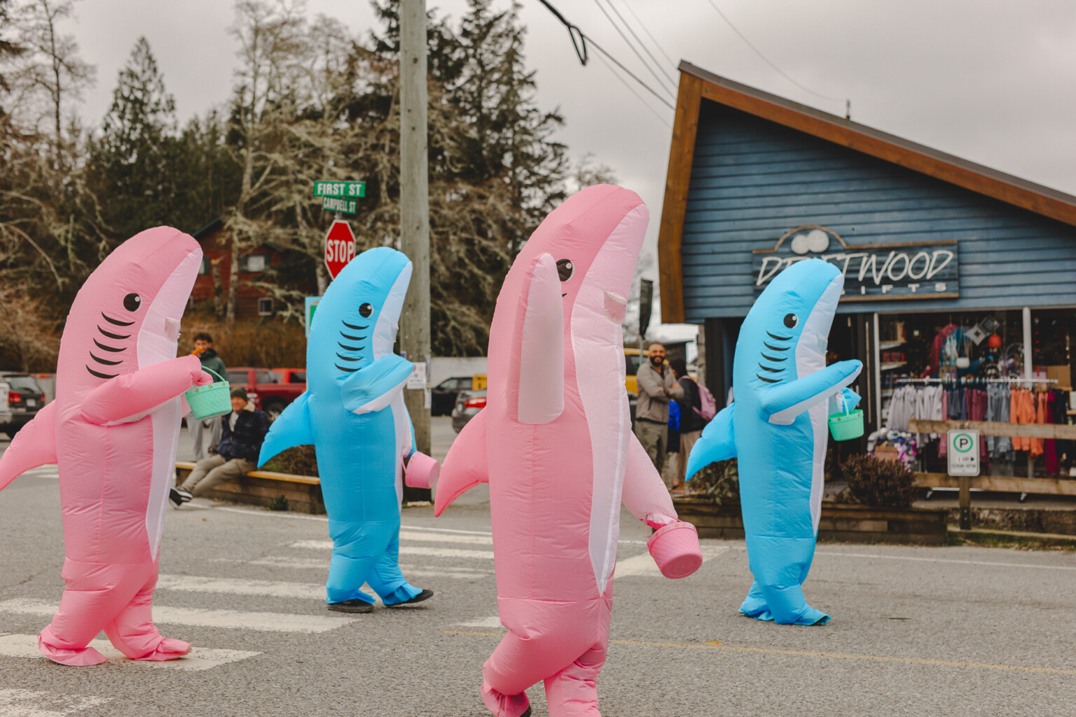 Pacific Rim Whale Festival 2025 - Ocean Village Resort